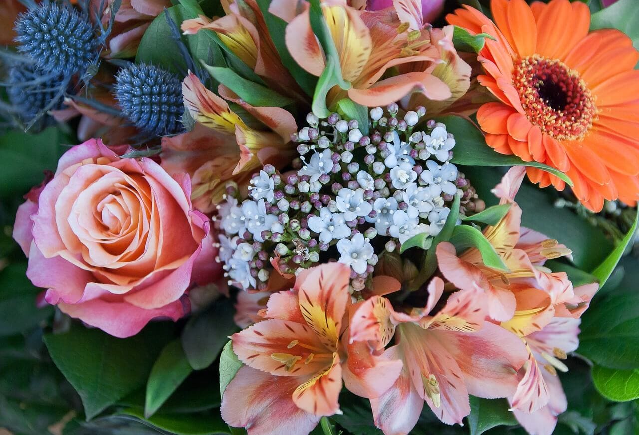 Businesses in Etobicoke: Royal York Flowers | ThompsonSells.com